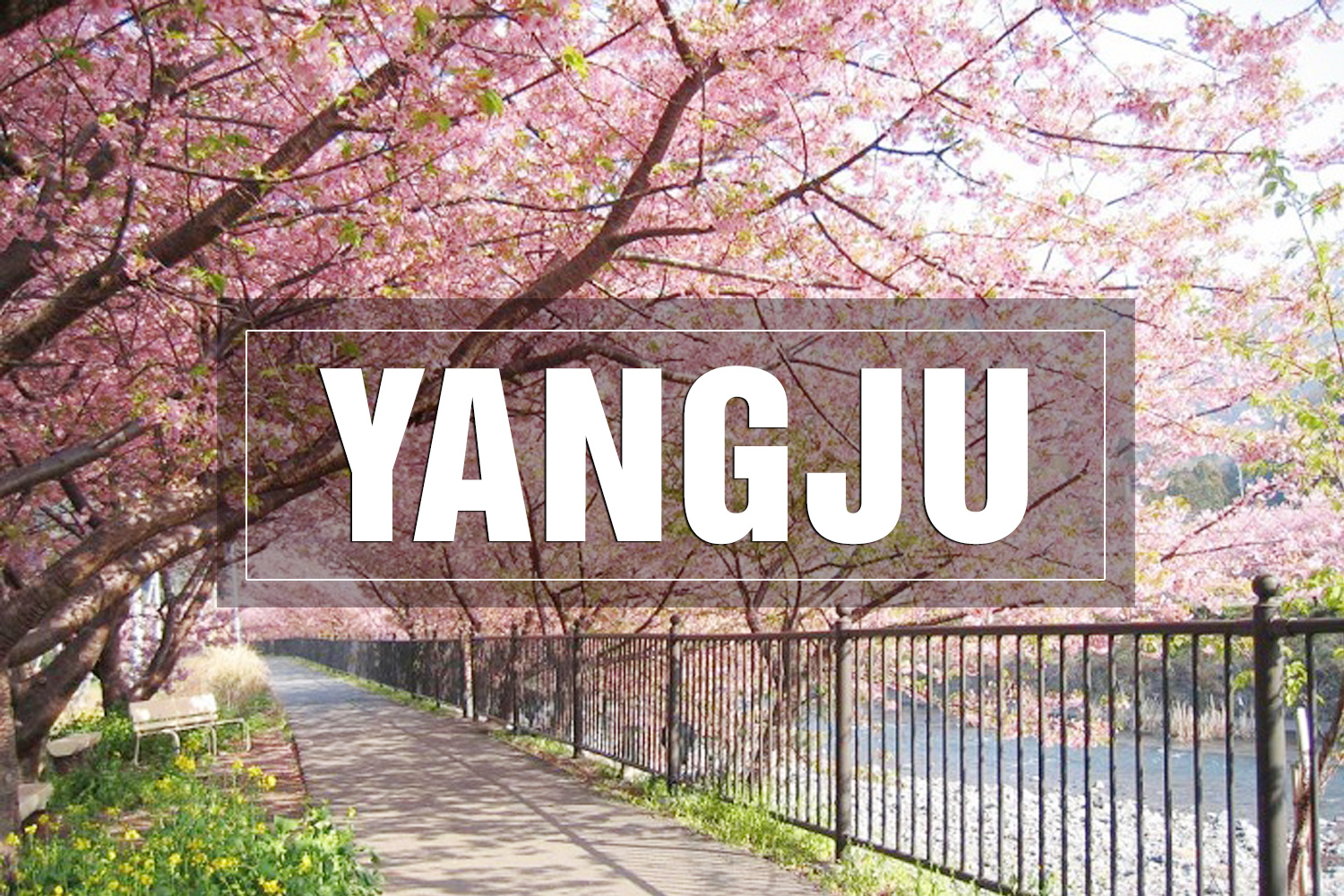 Trang chủ - Du học Hàn Quốc MAP